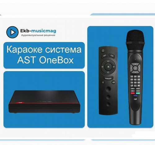 Профессиональная акустическая караоке система AST