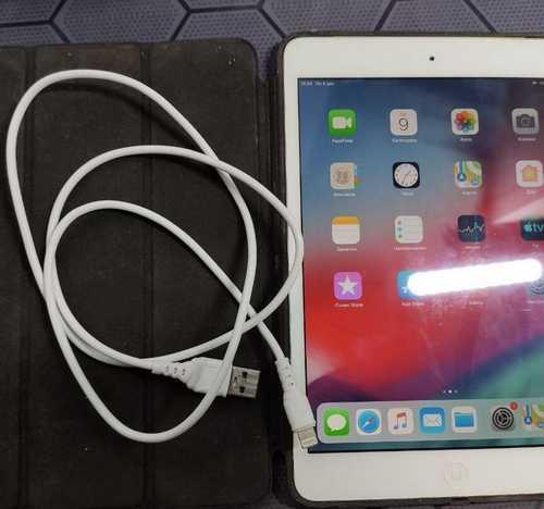 iPad mini 2