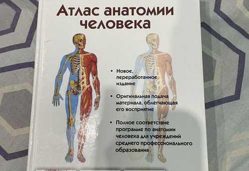 Атлас Анатомии Человека Самусев