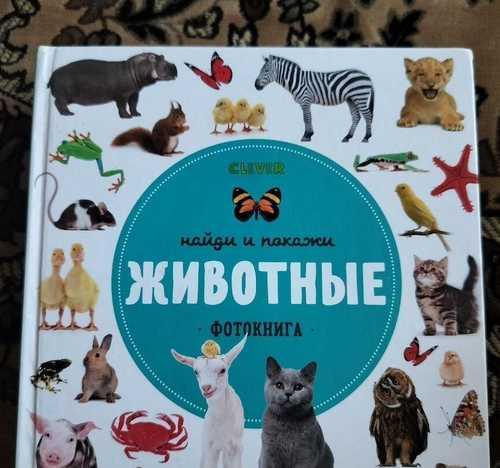 Книжки детские найди и покажи