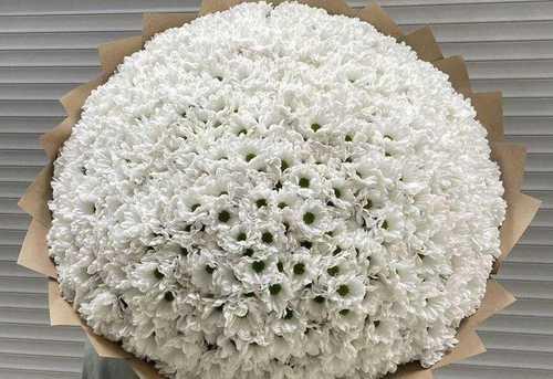 Букет Цветы Хризантемы