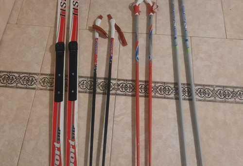 Лыжные палки