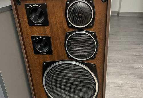 Radiotehnika s90 35ac-212 зеркальная пара