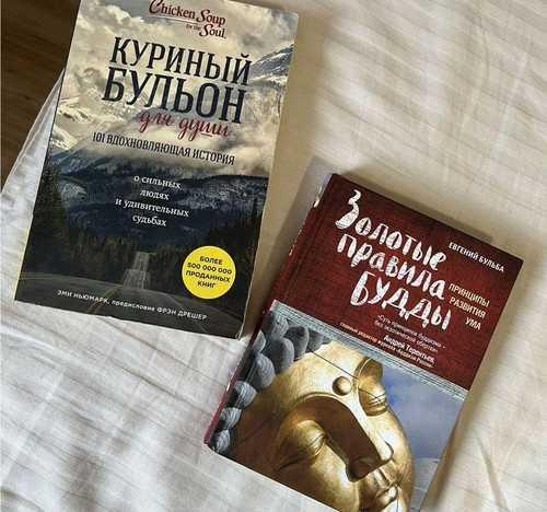 Книги Куриный бульон для души и др