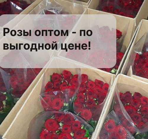 Цветы оптом розы