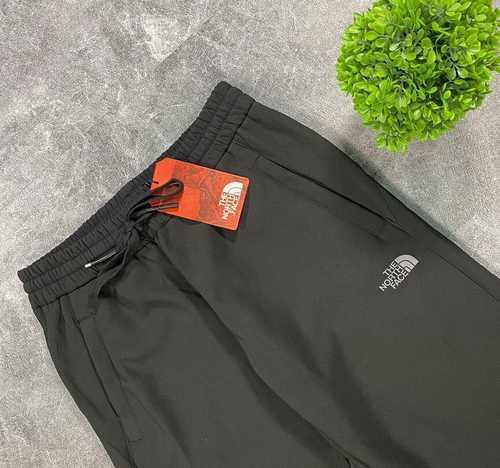 Штаны карго The north face Gore-tex