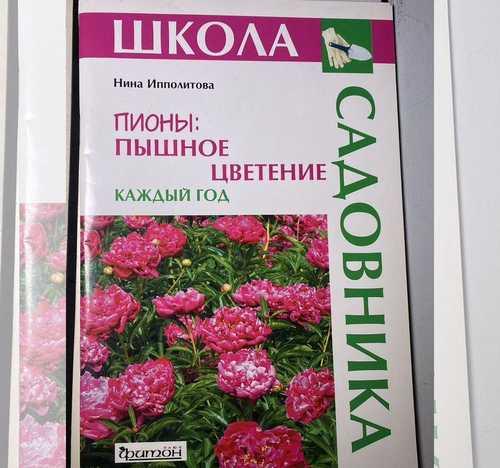 Пионы: пышное цветение каждый год. Ипполитова