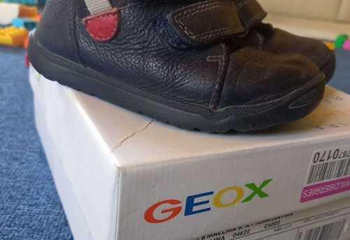 Ботинки Geox, 23 размер