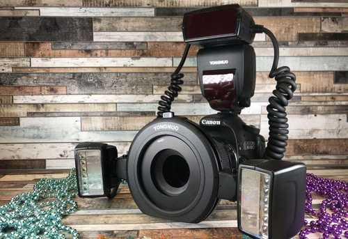 Canon EOS 60D kit EF 100mm 2.8 + YN24EX Macro