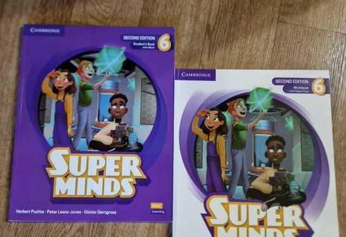 Super minds 6 level second edition