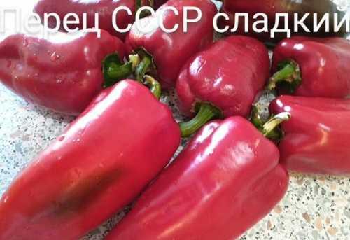 Семена перца сладкого красного СССР и острый