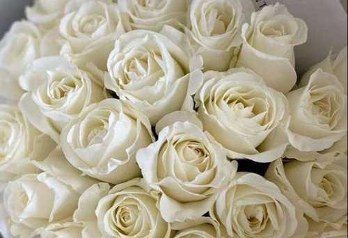 Букет из белых роз, 101 роза