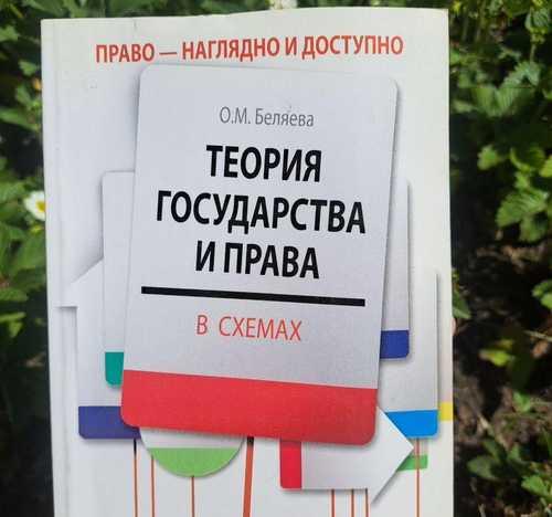 Теория государства и права в схемах