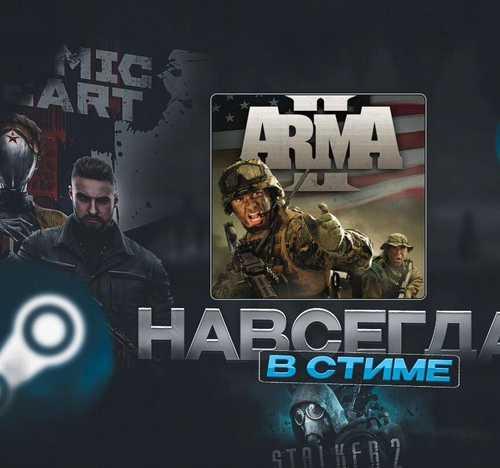 Arma 2 Steam PC