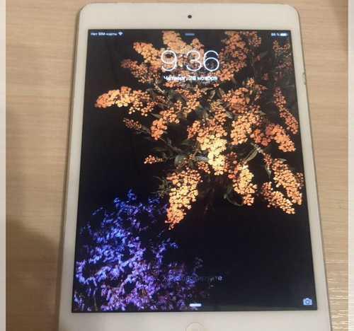 iPad mini 1