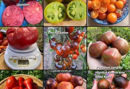 Набор семян томатов "Волшебные сказки"
