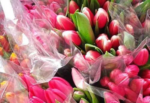 Тюльпаны розовые и красные опт-розница