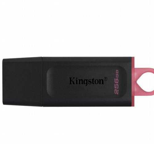 Флешка Kingston 256GB USB3.2 Gen 1 Dat 256GB USB3