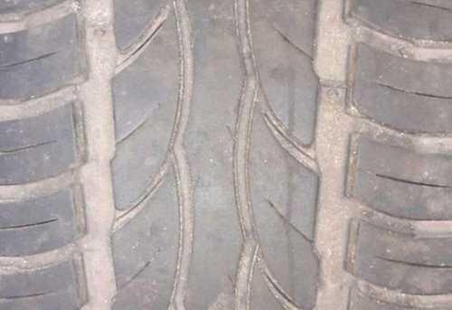 Sava Intensa HP 195/55 R15