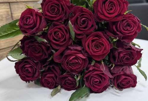 Свежие розы без посредников букеты 15 - 101 шт