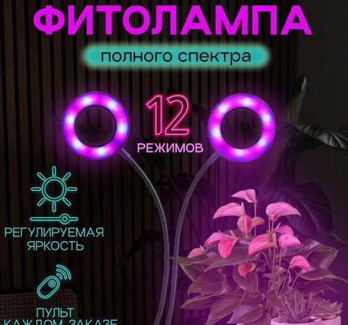 Фитолампа для растений