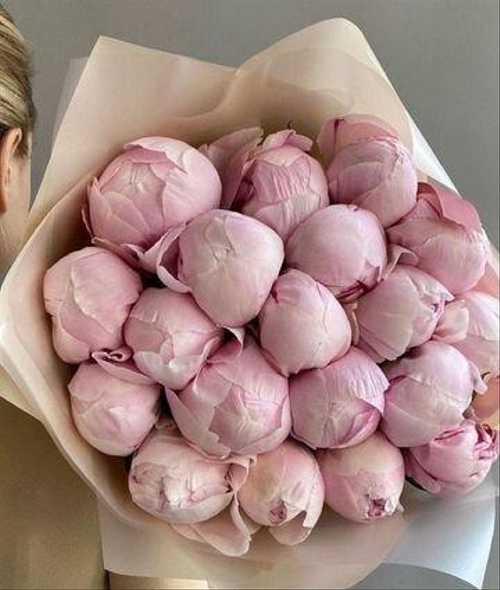 Пионы розовые розница купить букет цветов