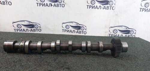 Распредвал Audi Q7 4L 3.0 diesel
