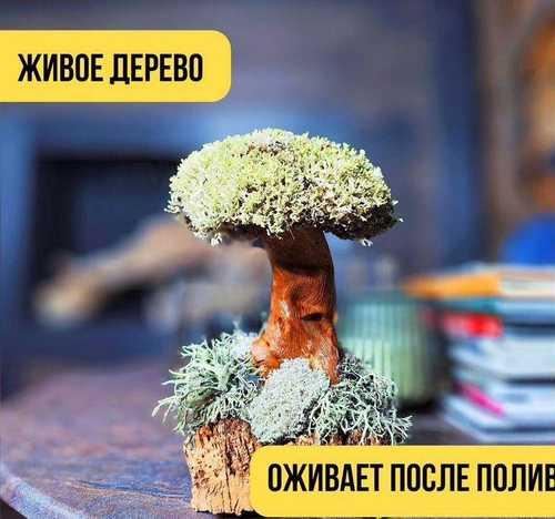 Деревце ручной работы (цетрария)