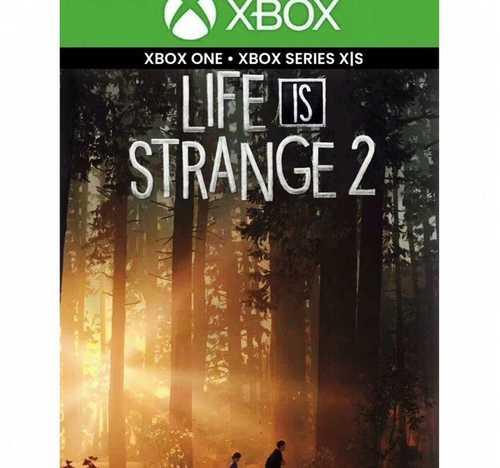 Life is Strange 2 / Странная Жизнь 2 Xbox (Ключ)