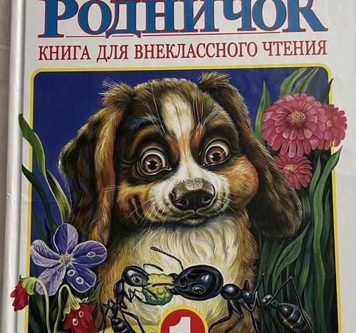 Родничок 1 класс