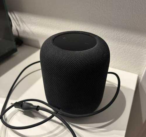 Apple homepod