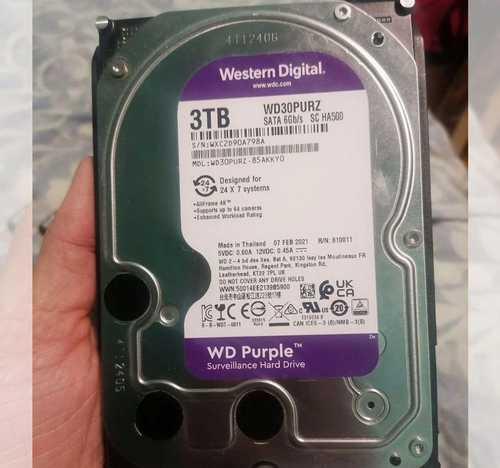 Жесткий диск 3 тб Western Digital