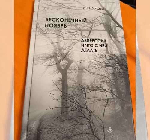 Книга Бесконечный ноябрь