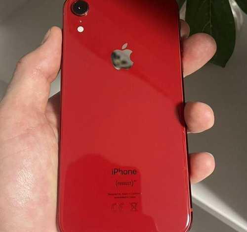 iPhone Xr, 64 ГБ