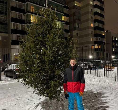 Ель с установкой доставкой для дворов и площадей