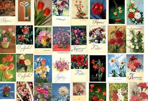 Открытки СССР Поздравительные с цветами (чистые)