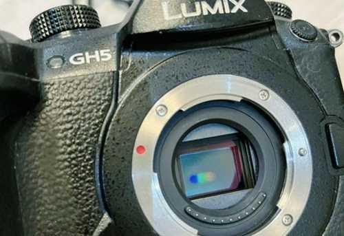 Panasonic GH5 body