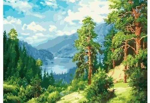 Картина по номерам "Лесной пейзаж" 40х50 см