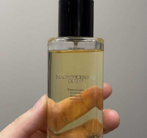 Zara magnificently dubai 40