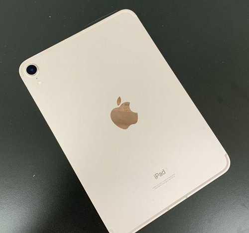 iPad mini 6 после воды