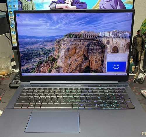 Игровой ноутбук machenike f117 2060 i7 17.3