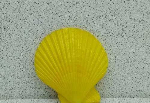 Гребешок жёлтый 5*4,6 морская ракушка раковина