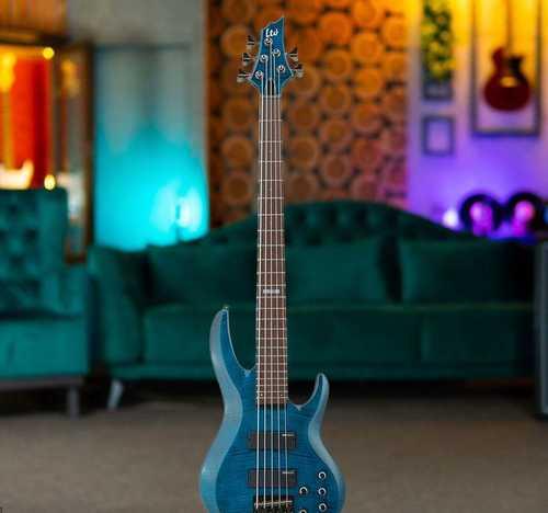 ESP LTD B-155DX STB