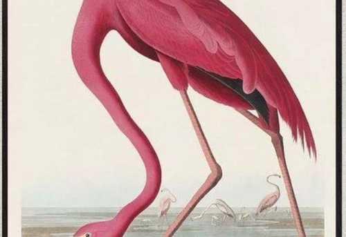 Постер Розовый фламинго 50х70 см