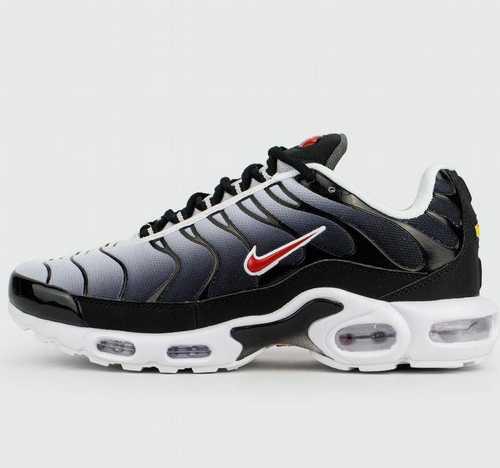 Кроссовки Nike Air Max Plus Tn Grey Black