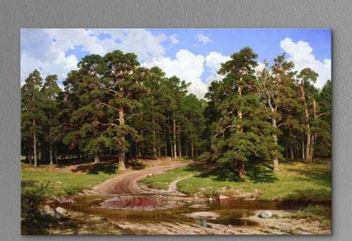 Картина "Сосновый бор 1895" Шишкин И. И. 50х70 см