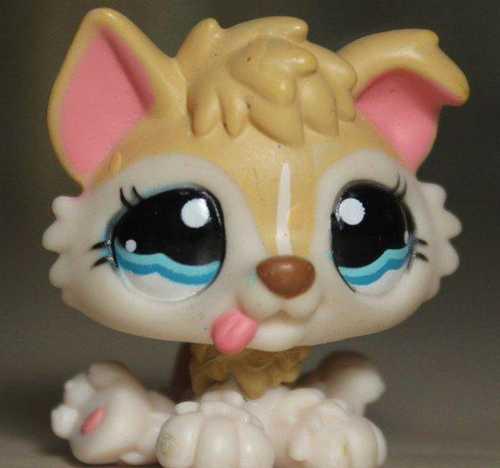 Littlest pet shop щенок хаски бежевый