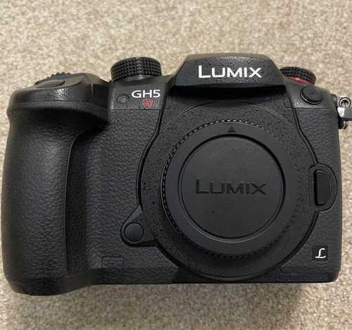 Panasonic GH5S Body 4,8к с русским языком