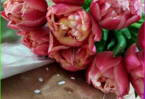 Очень красивые тюльпаны для любимых дам