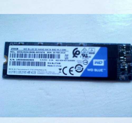 M.2 SATA накопитель WD Blue WDS250G2B0B